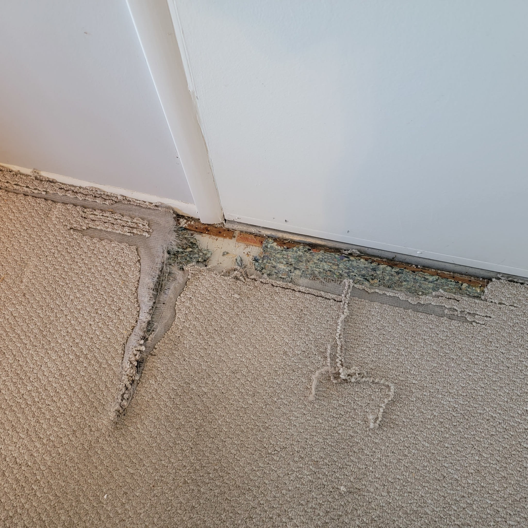 What Is Professional Carpet Repair and How Does It Work?